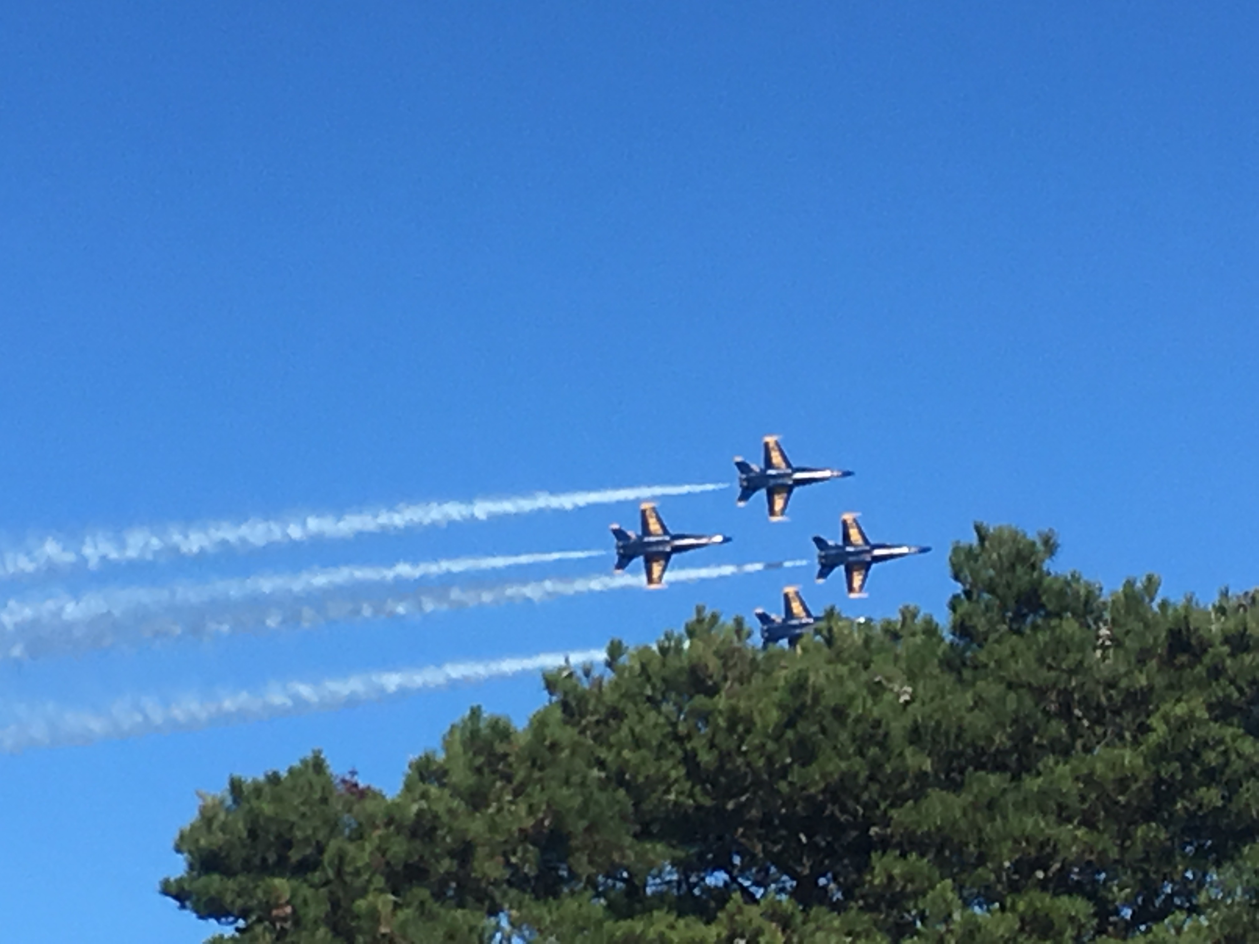 SFVA DOM Administration | UCSF Department of Medicine at VA